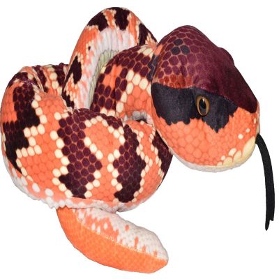 Eastern Cottonmouth Snake – Bolner Family Museum Store at the Witte